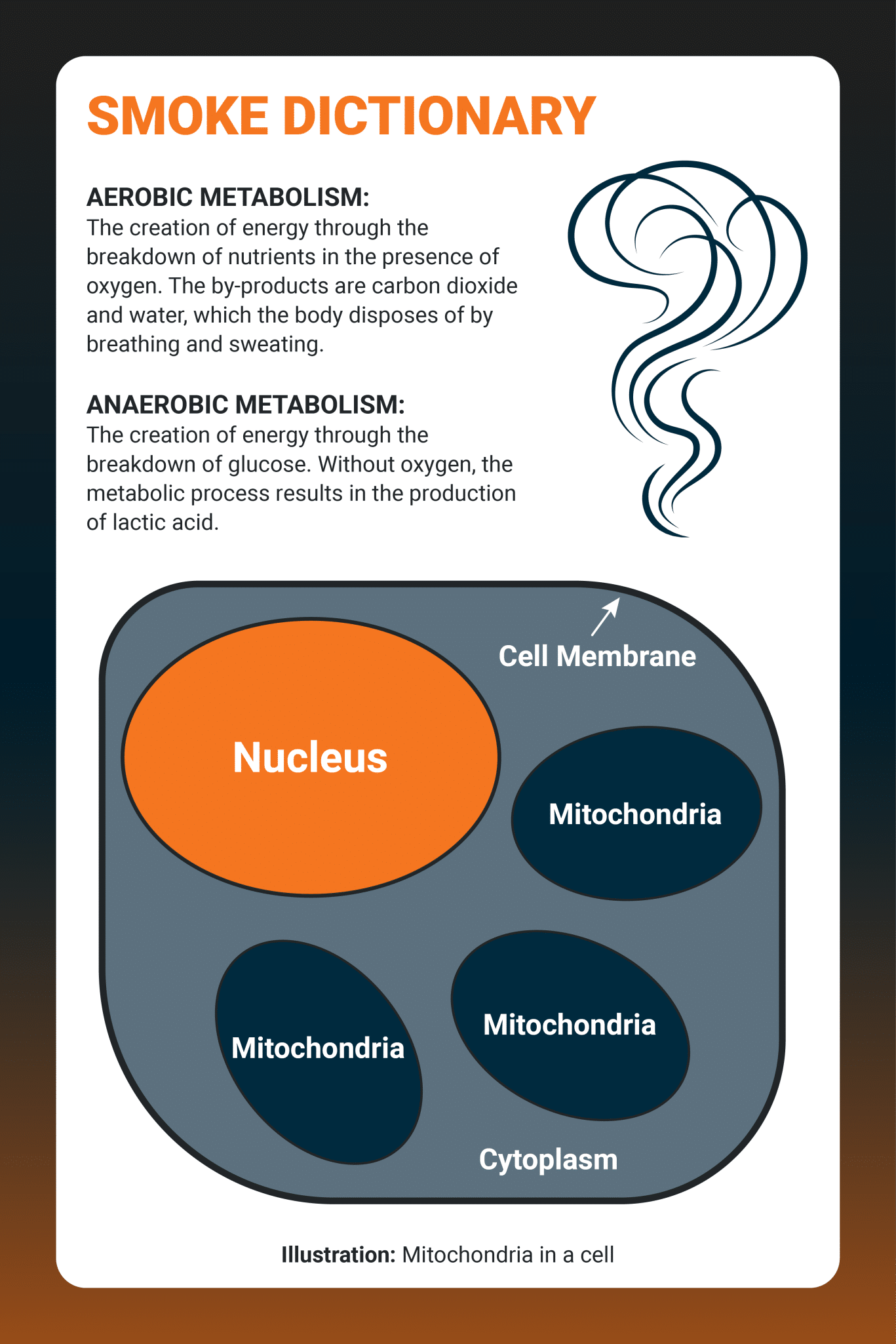 The Toxic Twins | Carbon Monoxide & Hydrogen Cyanide